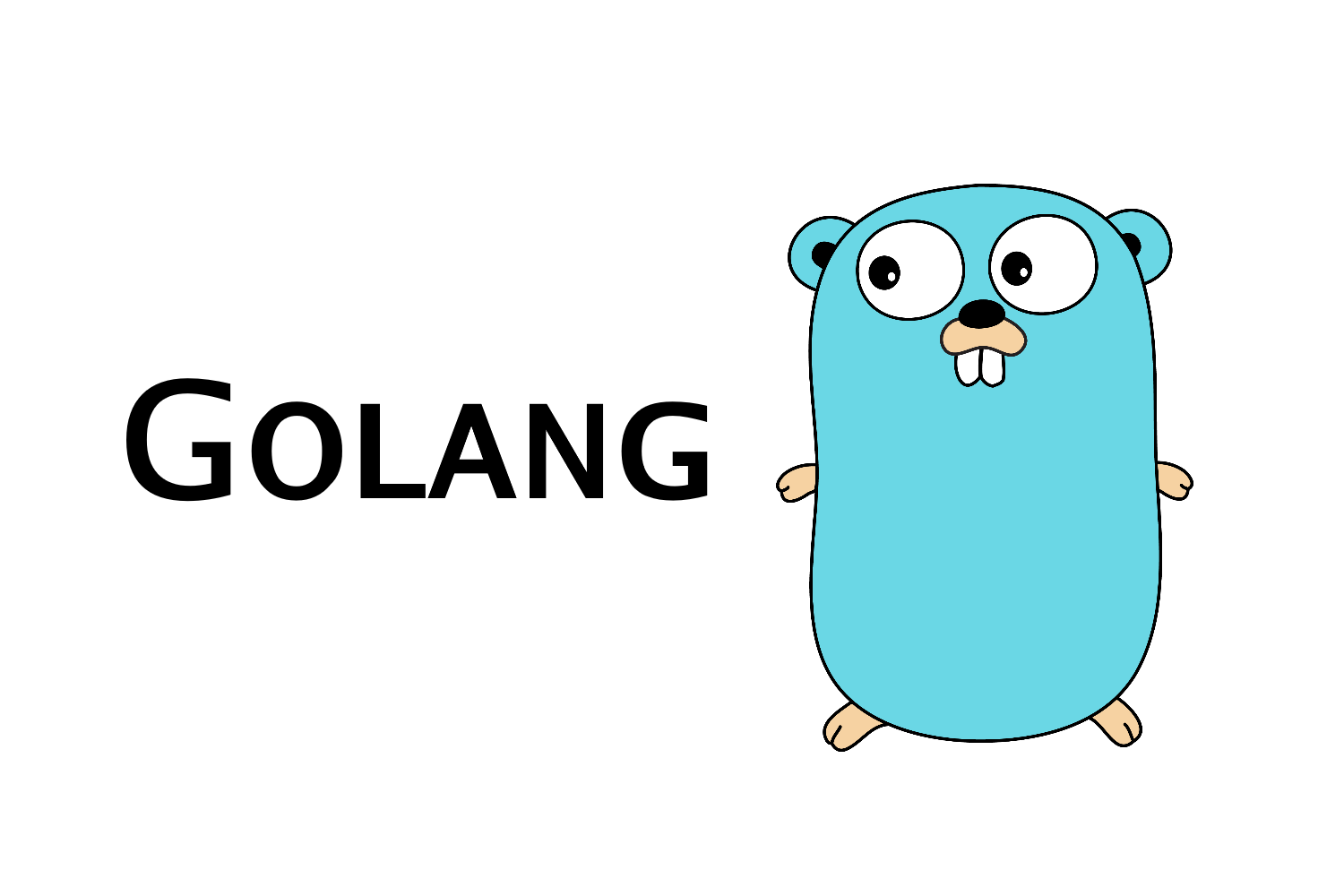 Que Es Golang Y Como Funciona - X5 Servers